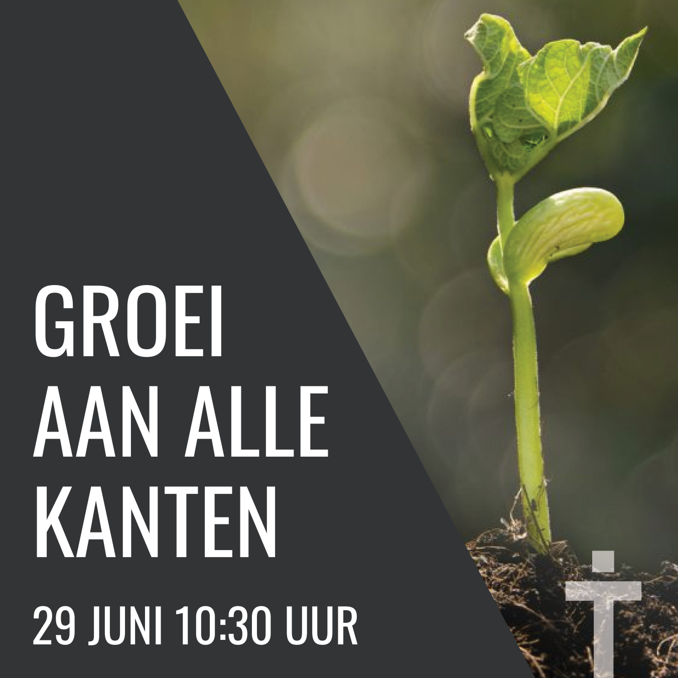 Dienst 29 juni 2025 – Groei Aan Alle Kanten - Stadskerk 040